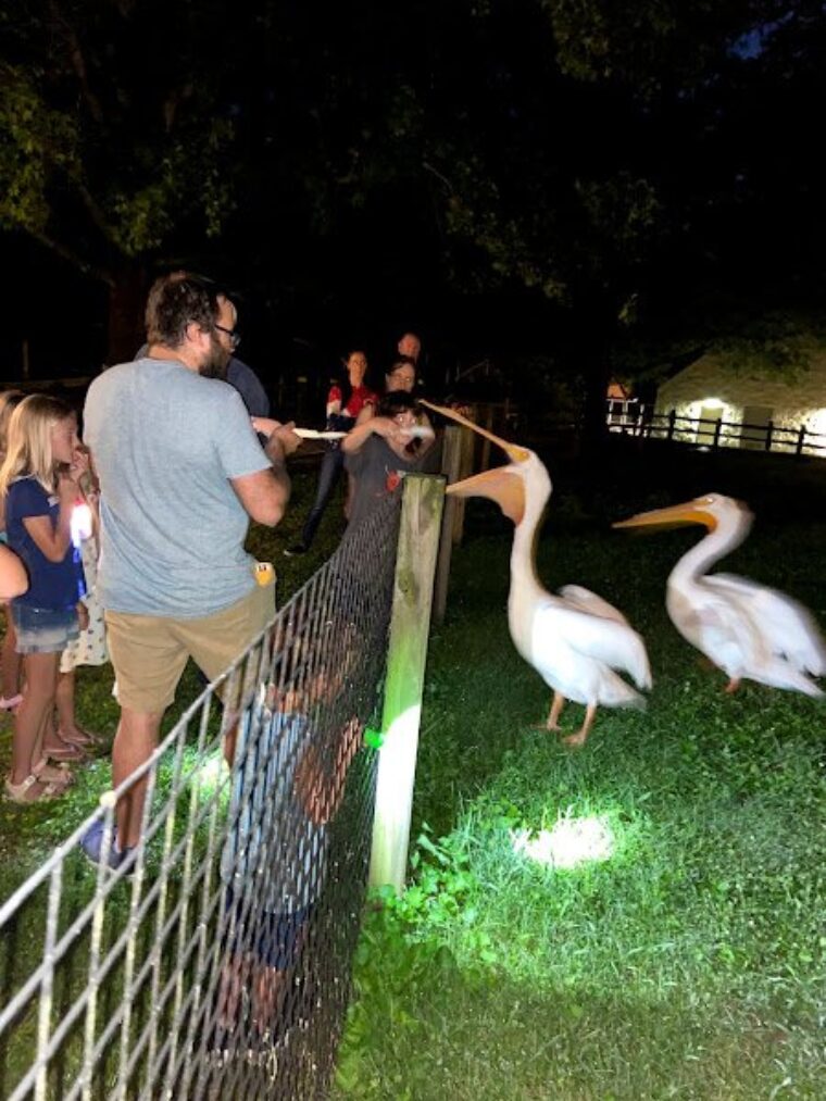 Special Encounters – Scovill Zoo